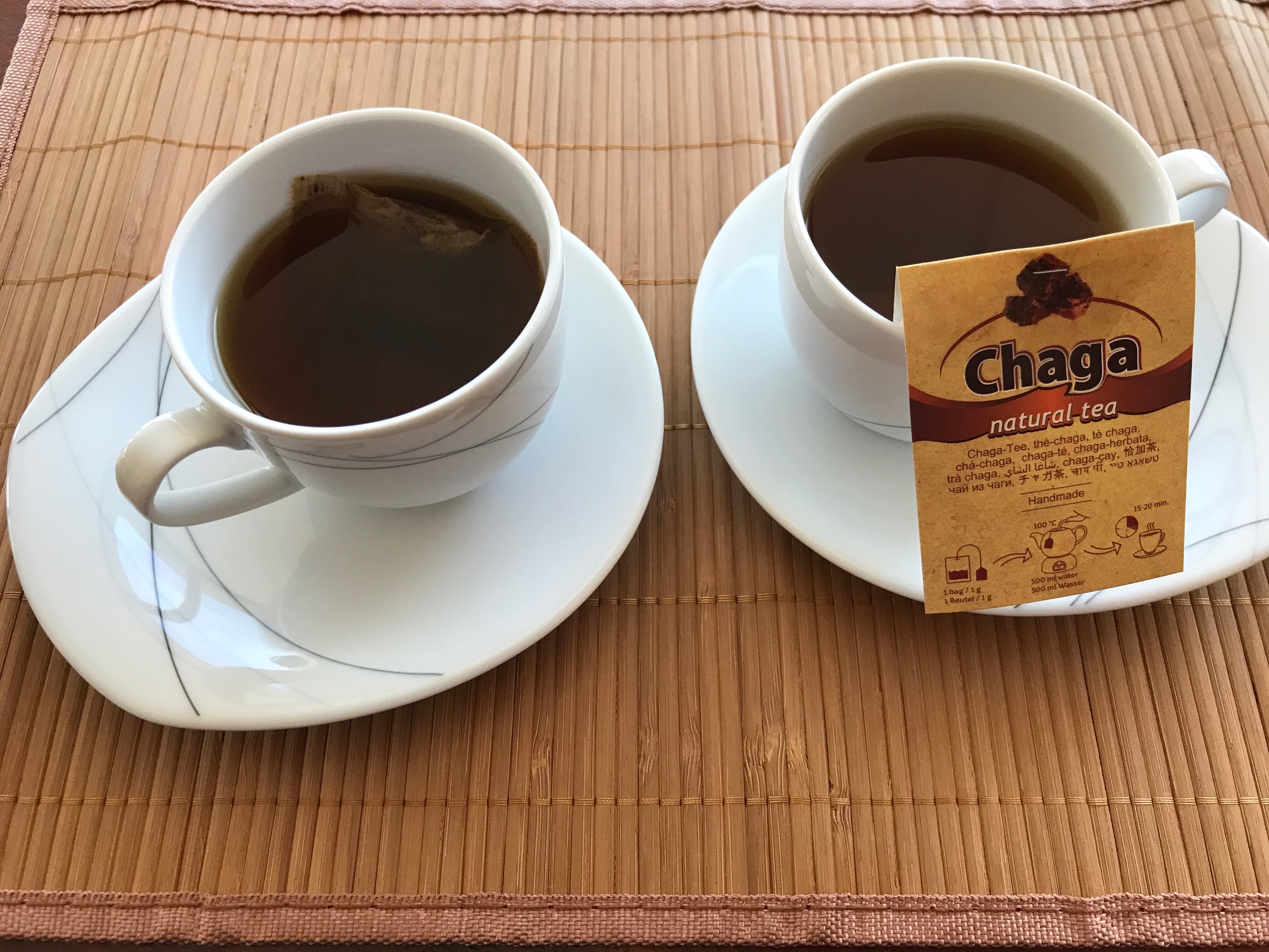 Chaga-Pilz Tee 20 Beutel a 20g Wildsammlung | ERASVITAL
